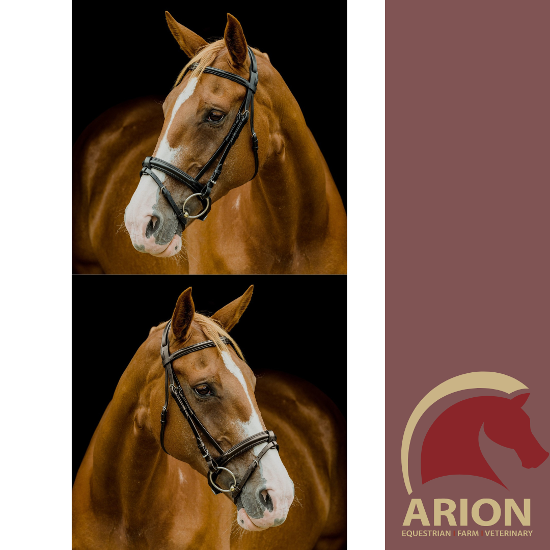 PLATINUM PADDED RAISED HANOVERIAN BRIDLE - Bridles & Reins-Snaffle ...