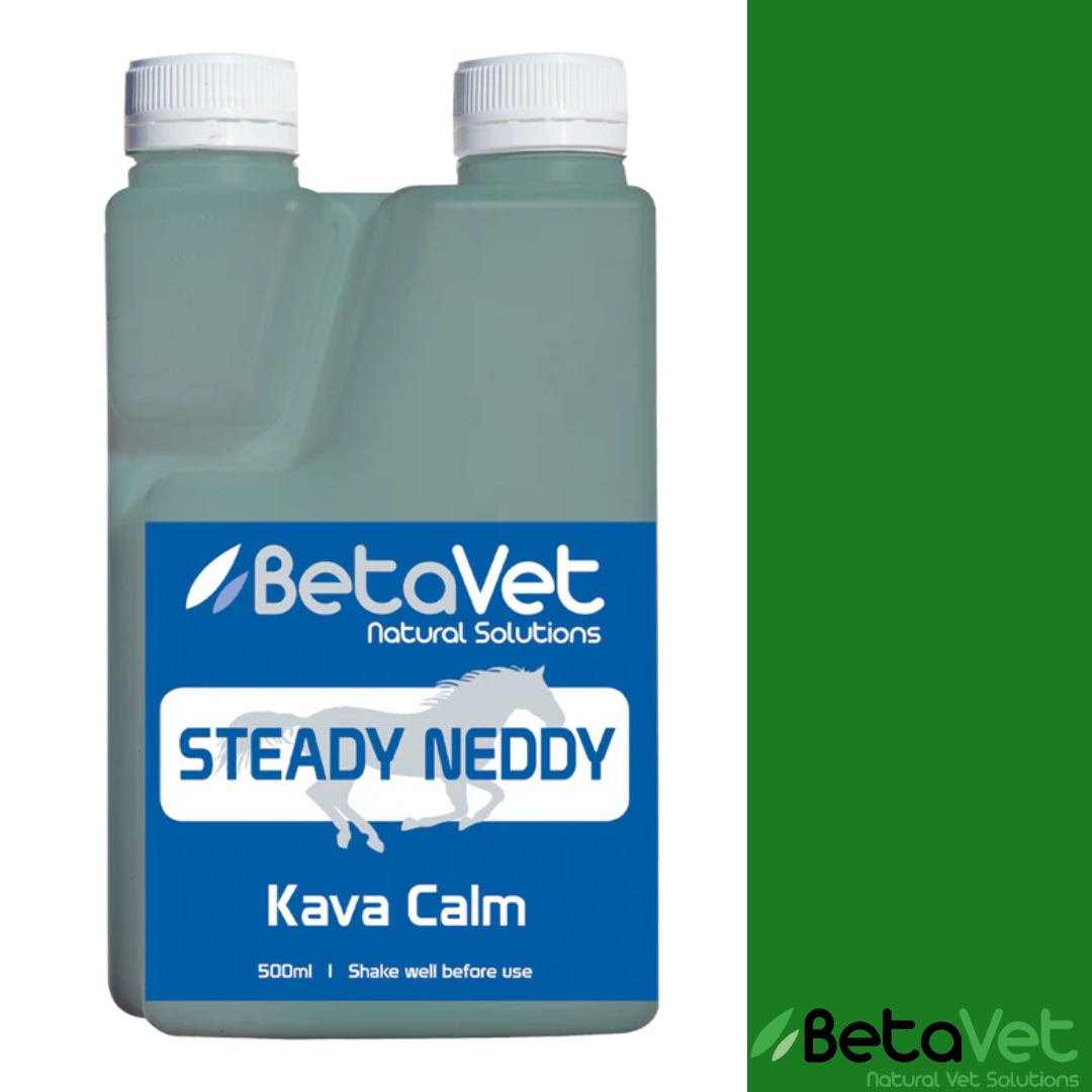 BETAVET STEADY NEDDY - BETAVET : Feed & Supplements-Supplements ...