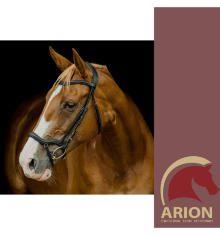 PLATINUM PRESSURE RELIEF ANATOMICAL BRIDLE - Bridles & Reins-Bridles ...